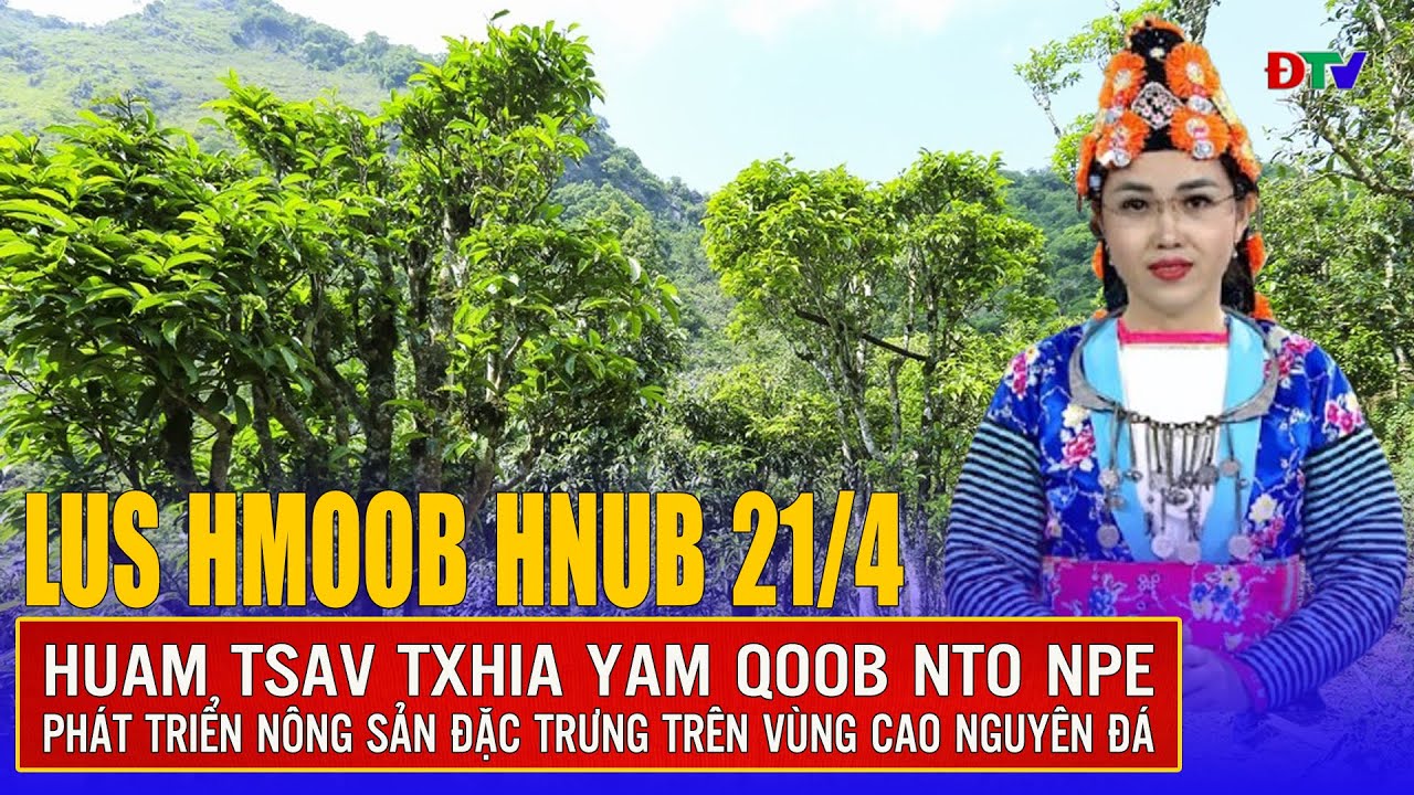 News / Xov Xwm – HMOOB.TV