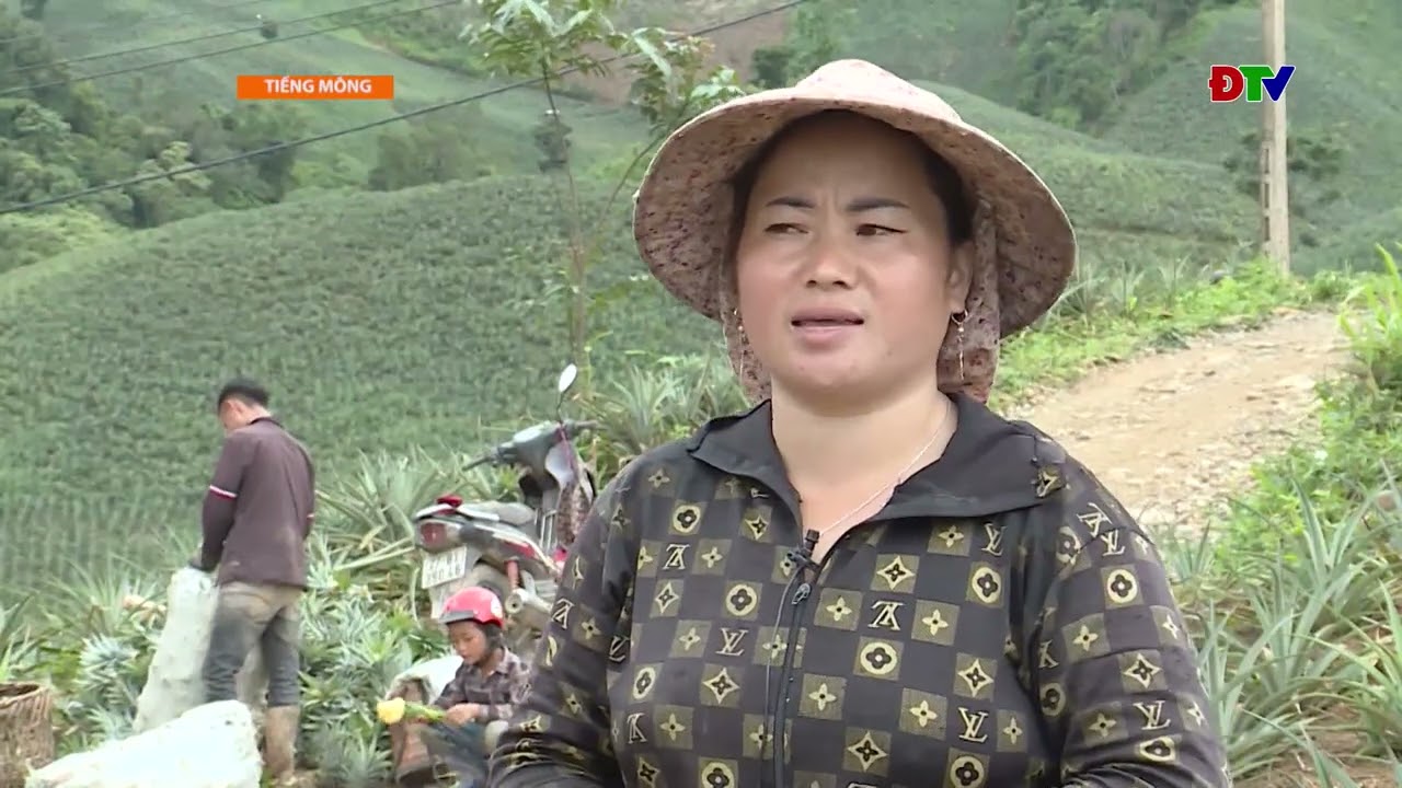 News / Xov Xwm – HMOOB.TV