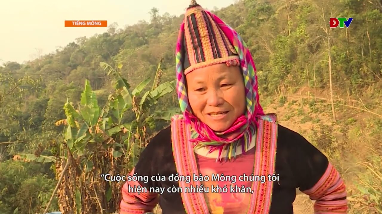 News / Xov Xwm – HMOOB.TV