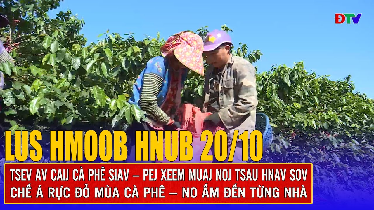 News / Xov Xwm – HMOOB.TV